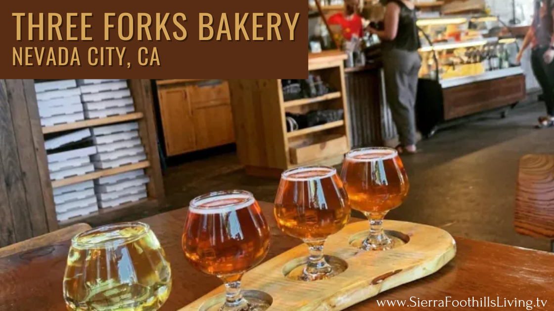 Three Forks Bakery & Brewery in Nevada City