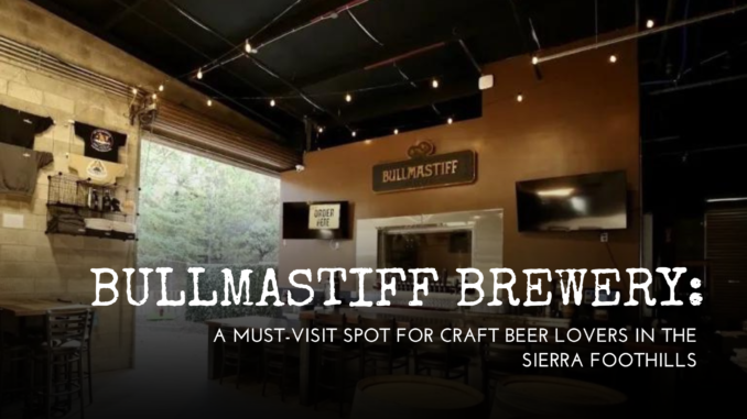 Bullmastiff Brewery: Craft Beer in the Sierra Foothills