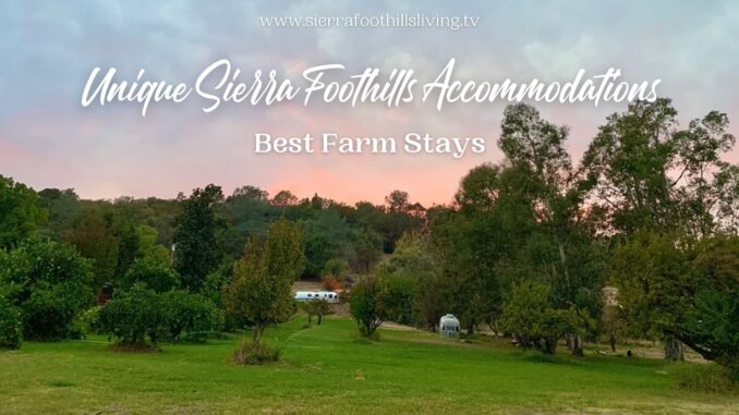 Unique Sierra Foothills Accommodations: Best Farm Stays