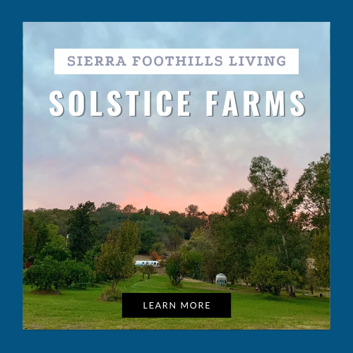 Unique Sierra Foothills Accommodations: Best Farm Stays