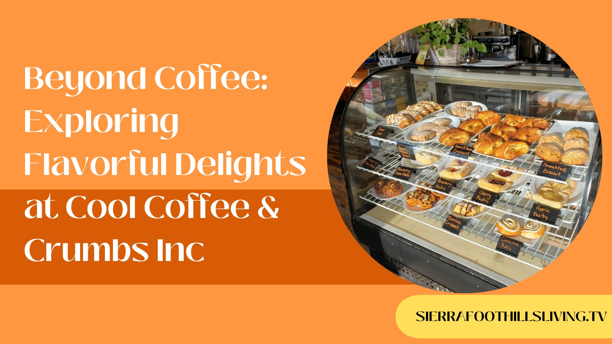 Beyond Coffee: Exploring Cool Coffee & Crumbs Inc