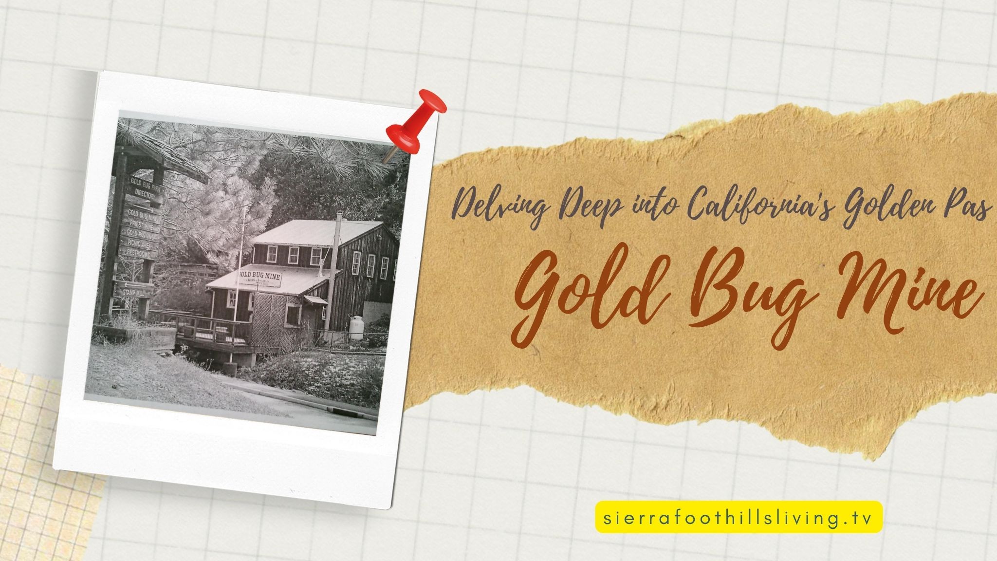 Gold Bug Mine: Delving Deep into California's Golden Past