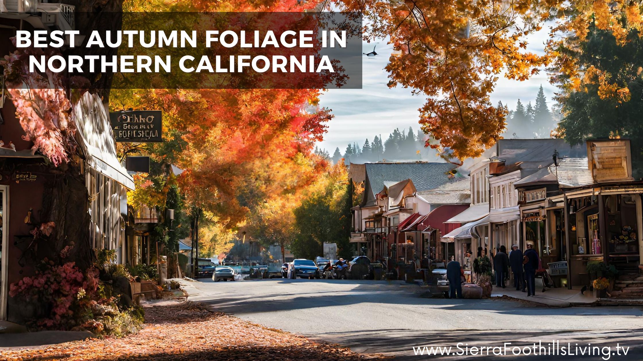 Sierra Foothills: Your Guide to the Best Autumn Foliage