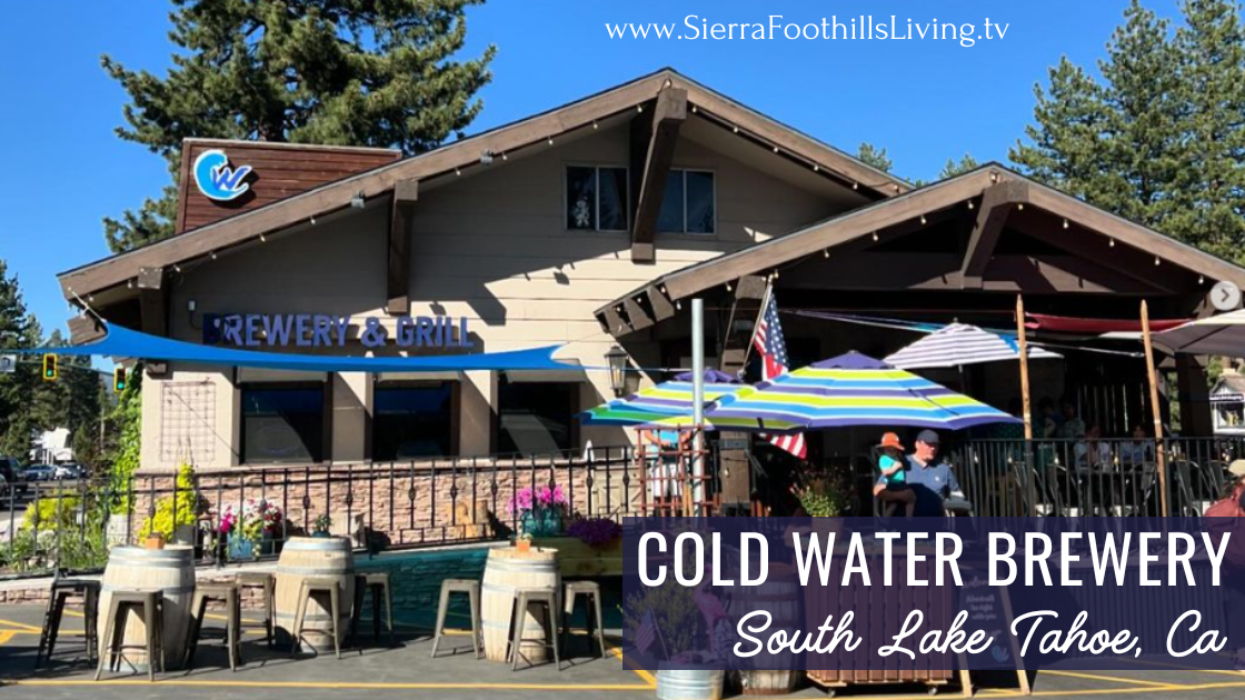 Cold Water Brewery South Lake Tahoe: A Craft Beer Haven in the Sierra ...